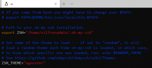 Setting up WSL2, Windows Terminal and oh-my-zsh – NillsF blog