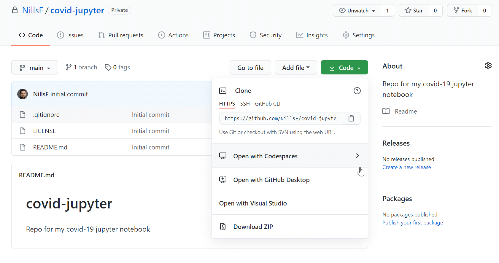 First look at GitHub Codespaces – NillsF blog